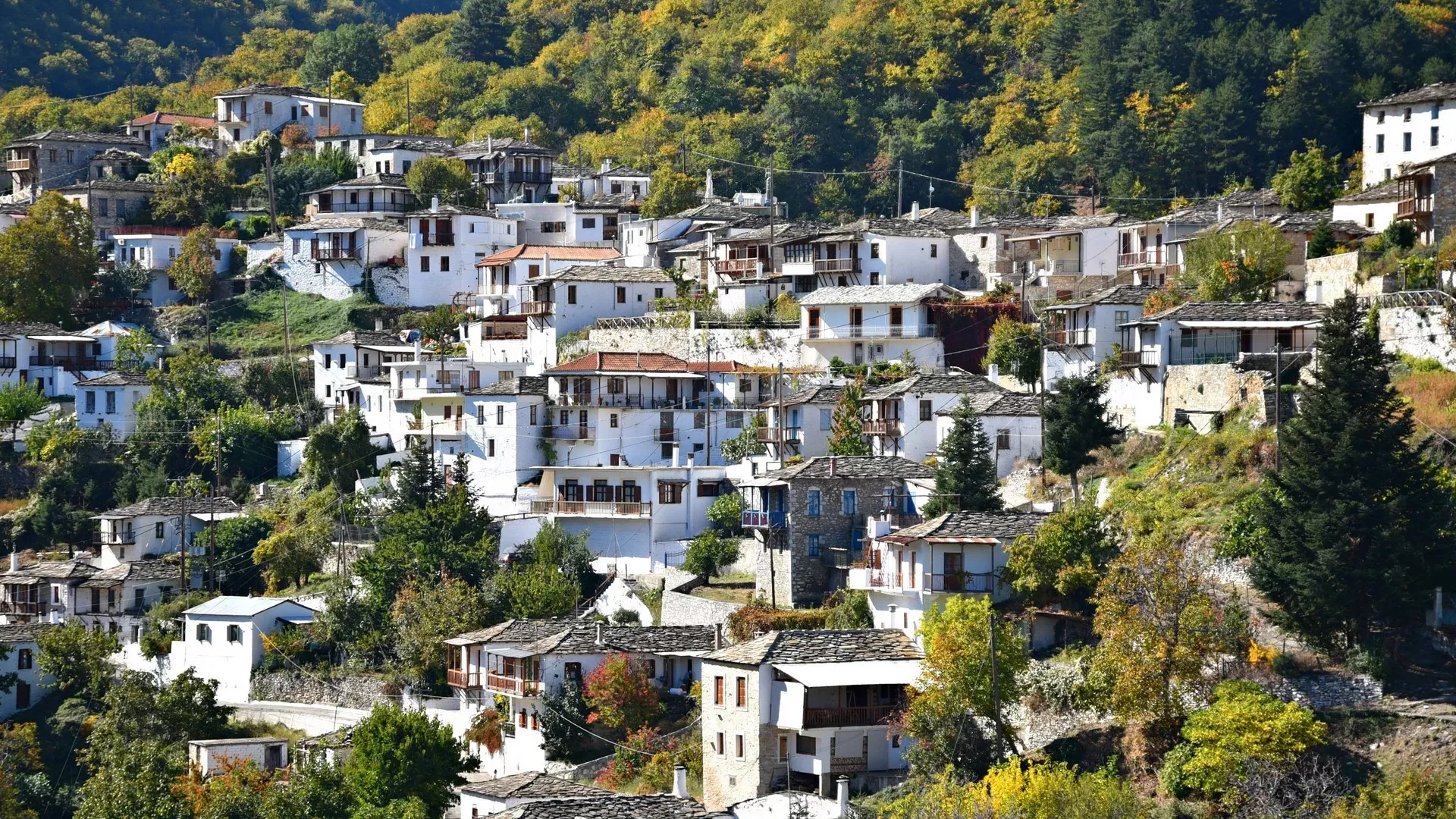 Καστάνιτσα: Ένα ιστορικό χωριό με ιδιαίτερη αρχιτεκτονική στην Αρκαδία