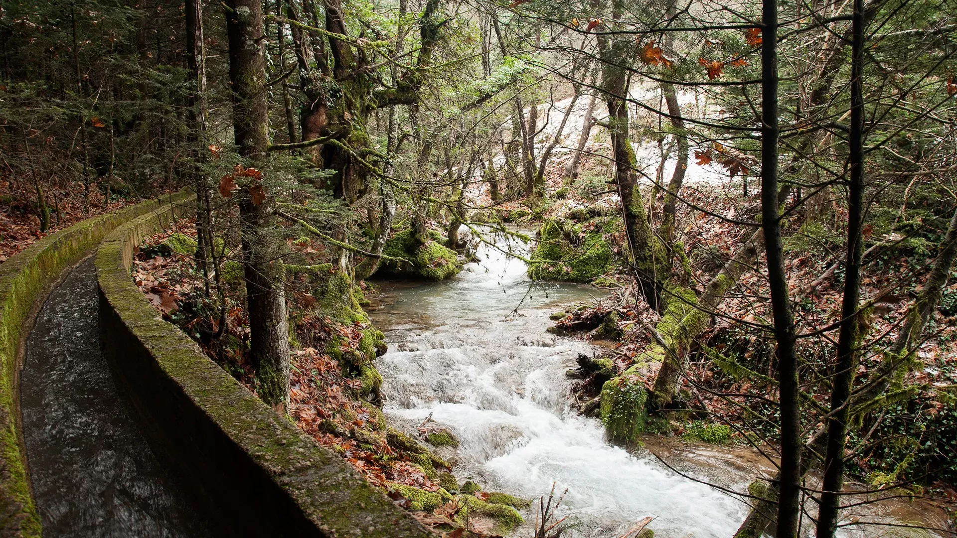 Παύλιανη: Το πανέμορφο χωριό όπου γίνεσαι ένα με τη φύση