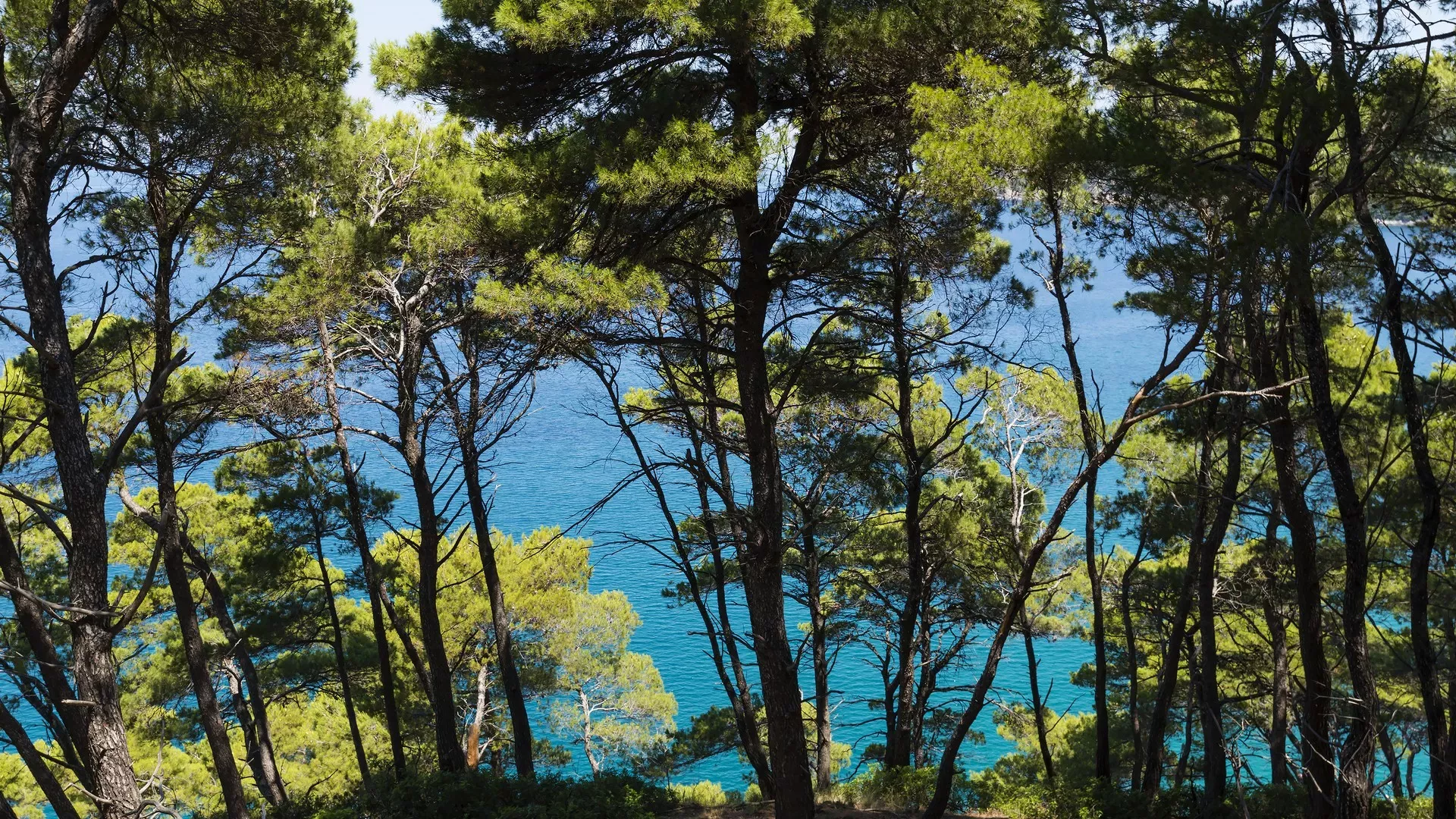 Σκιάθος: Διακοπές με κοσμοπολίτικο αέρα