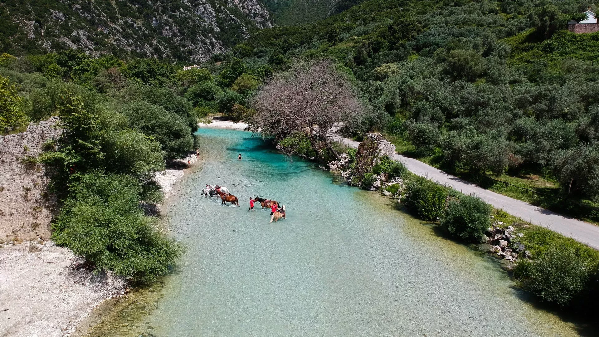 Τα ποτάμια και οι λίμνες στην Ελλάδα για κολύμπι και δροσιά