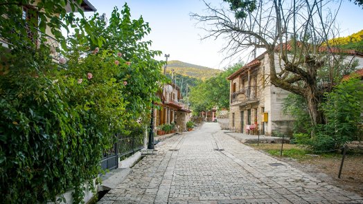 5 ελληνικά χωριά μέσα στα έλατα για τα Χριστούγεννα