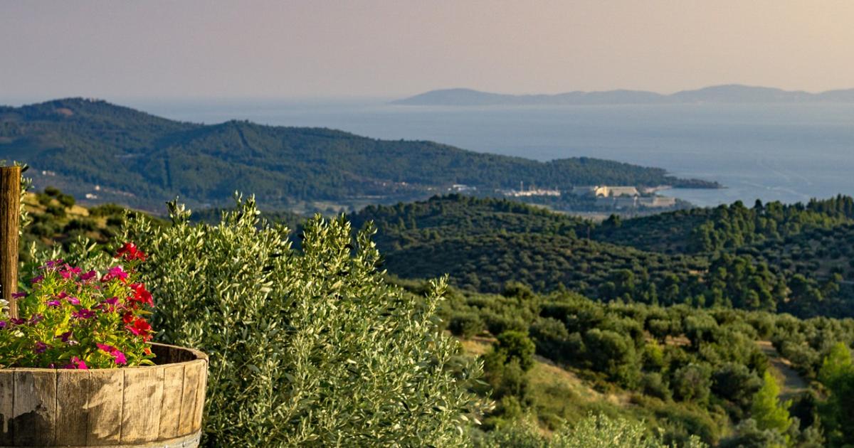 Ο «άγνωστος» Παρθενώνας της Χαλκιδικής