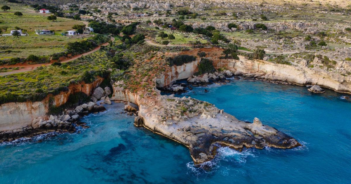 Λακωνία: To άγνωστο απολιθωμένο δάσος δίπλα στη θάλασσα